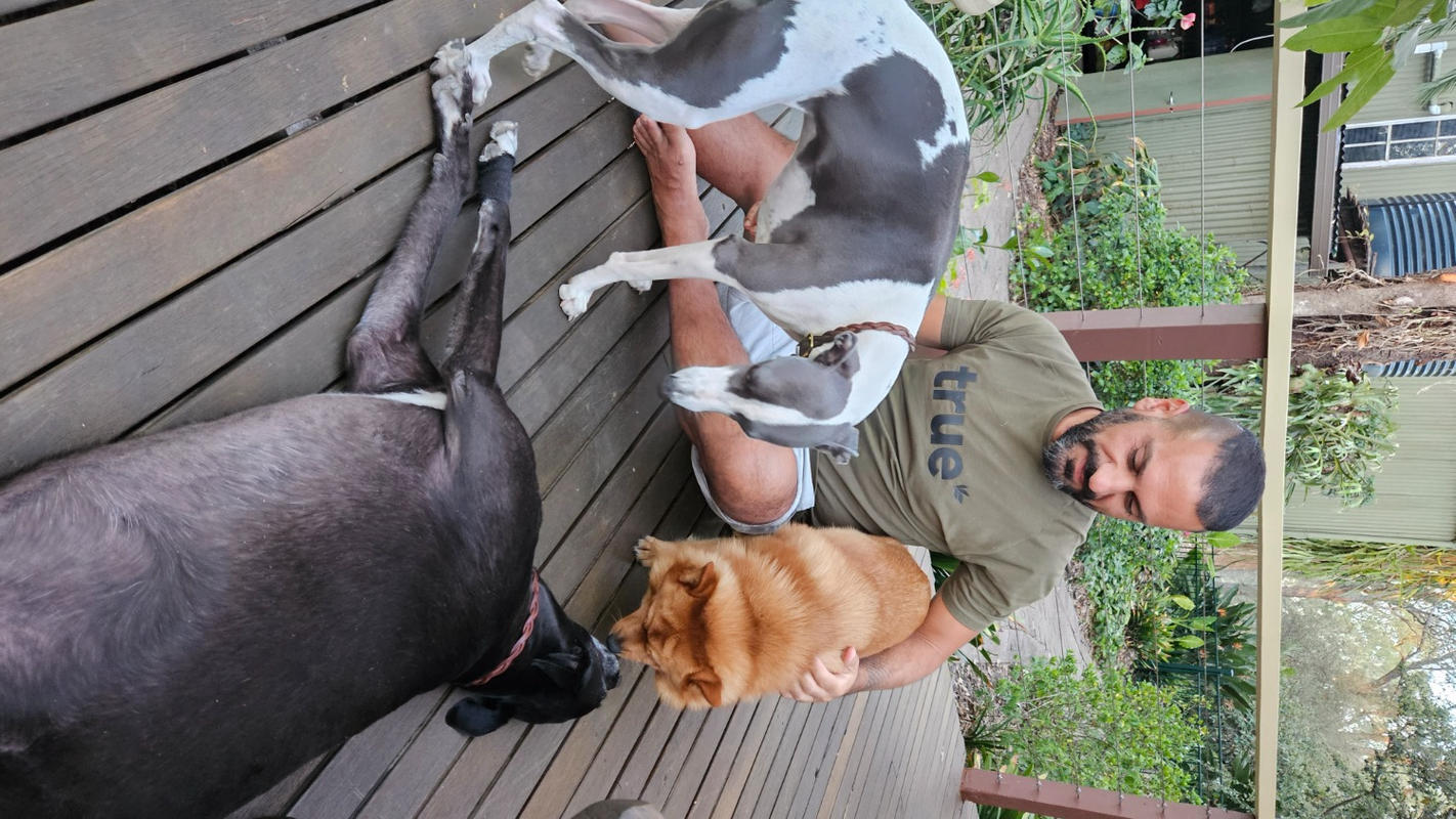 Plant Protein | Vegan & Probiotic Blend | True Protein