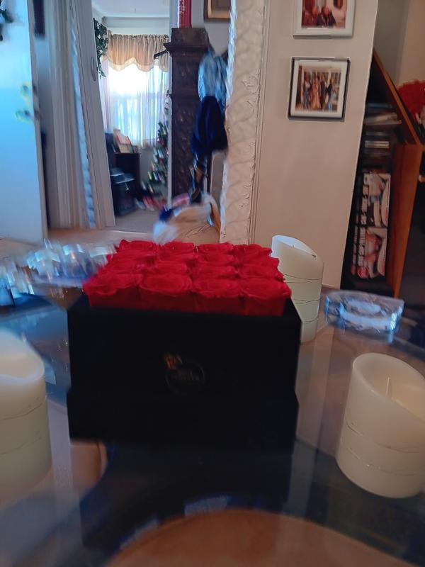 Red Roses | Flower Delivery | Flowers Arrangement | Rose Forever – Rose ...