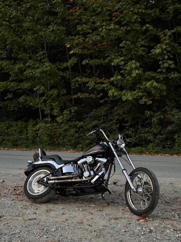 V-Twin Manufacturing 41MM Chrome Fork Tubes 1984-1999 Harley-Davidson ...