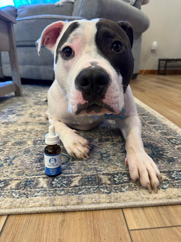 Zen Drops - CBD 250MG for Dogs & Cats – Zen Frenz