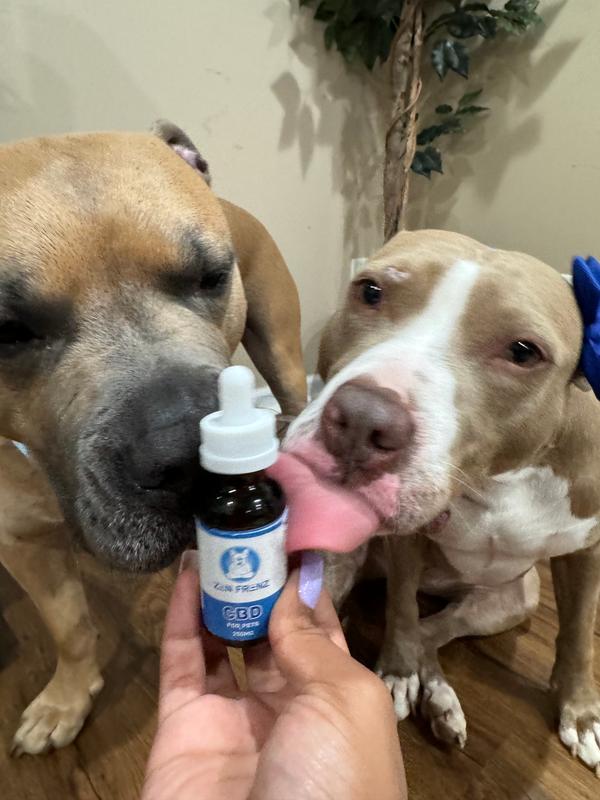 Zen Drops - CBD 250MG for Dogs & Cats – Zen Frenz