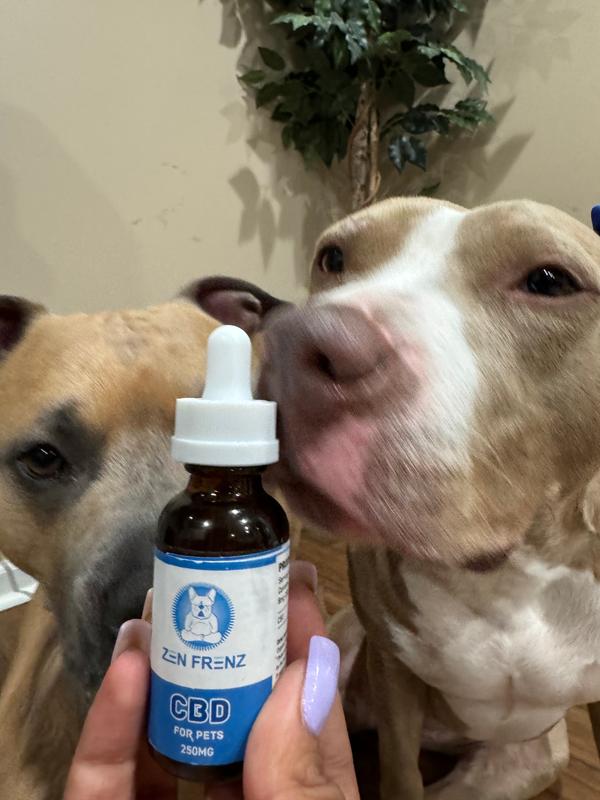Zen Drops - CBD 250MG for Dogs & Cats – Zen Frenz