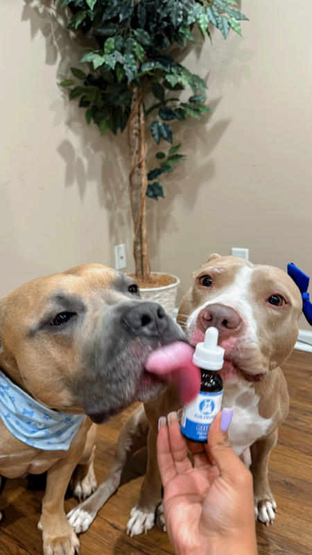 Zen Drops - CBD 250MG for Dogs & Cats – Zen Frenz