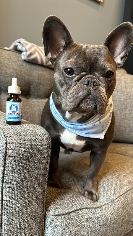 Zen Drops - IMMUNITY for Dogs & Cats – Zen Frenz