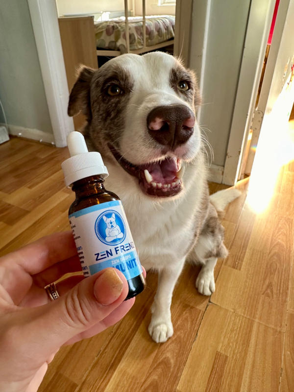 Zen Drops - CBD 500MG for Dogs & Cats – Zen Frenz