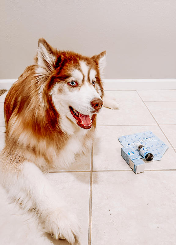 Zen Drops - IMMUNITY for Dogs & Cats – Zen Frenz