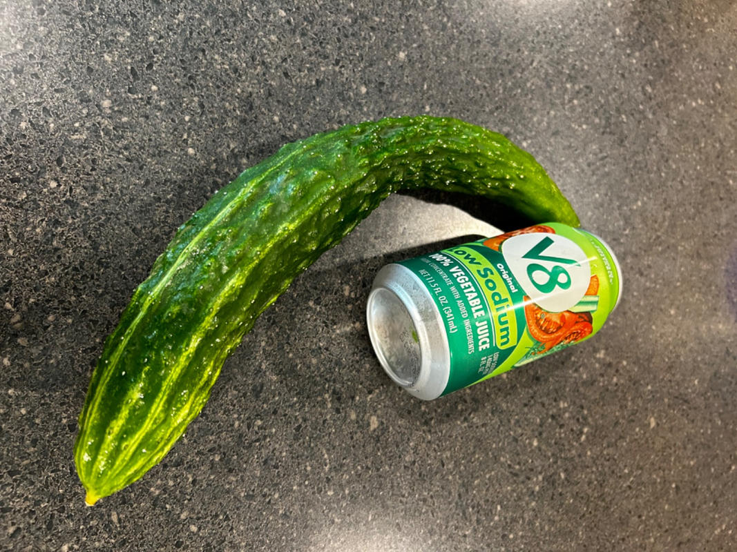 Suyo Long Cucumber (65 Days) – Pinetree Garden Seeds