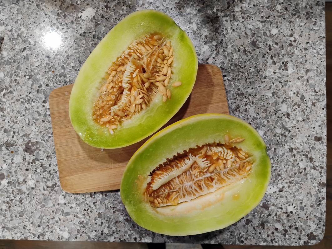 Navajo Yellow Melon (Heirloom 85 Days) – Pinetree Garden Seeds