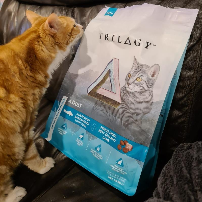 Trilogy Cat Food Reviews – Trilogy-au