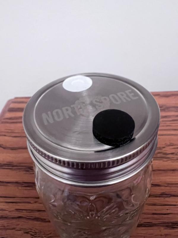 6 pc. 'Regular Mouth' Culture Jar Lid with Port & Filter – North Spore