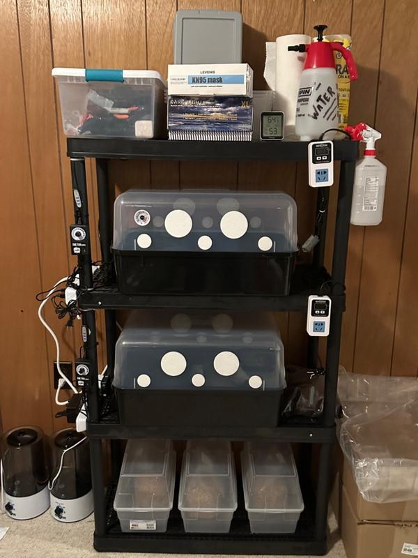 Automated 'Boomr Bin' Mushroom Monotub System | North Spore