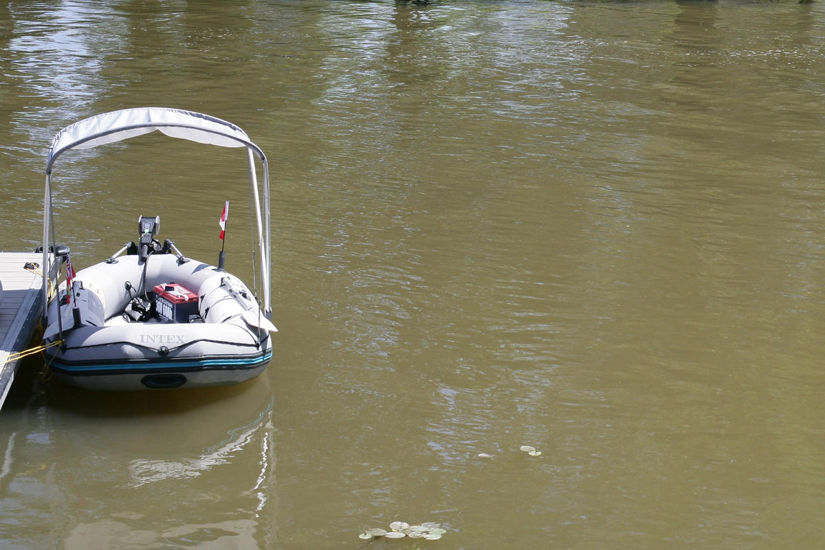 NT300 | 3HP Electric Outboard Motor | Newport