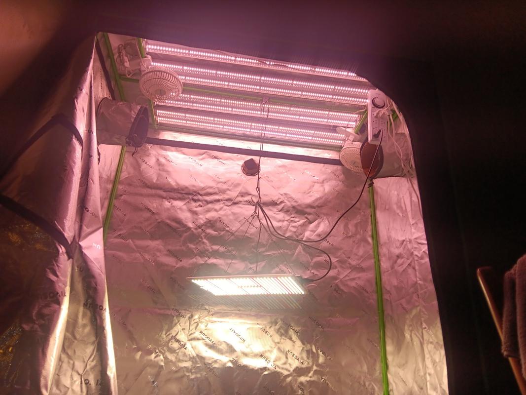 SuncoGrow LED Grow Light, 4ft, 40W Full Spectrum, Linkable – Sunco Lighting