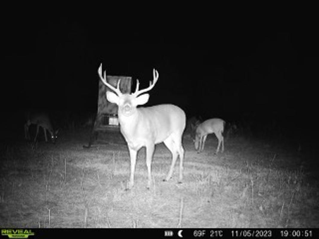 Spartan GoCam | Cellular Trail Camera – Spartan Camera