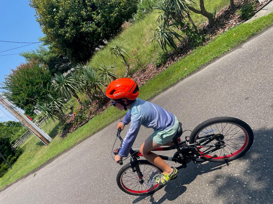 20 Inch Small Kids Bikes w/ Award-Winning SureStop – Guardian Bikes®
