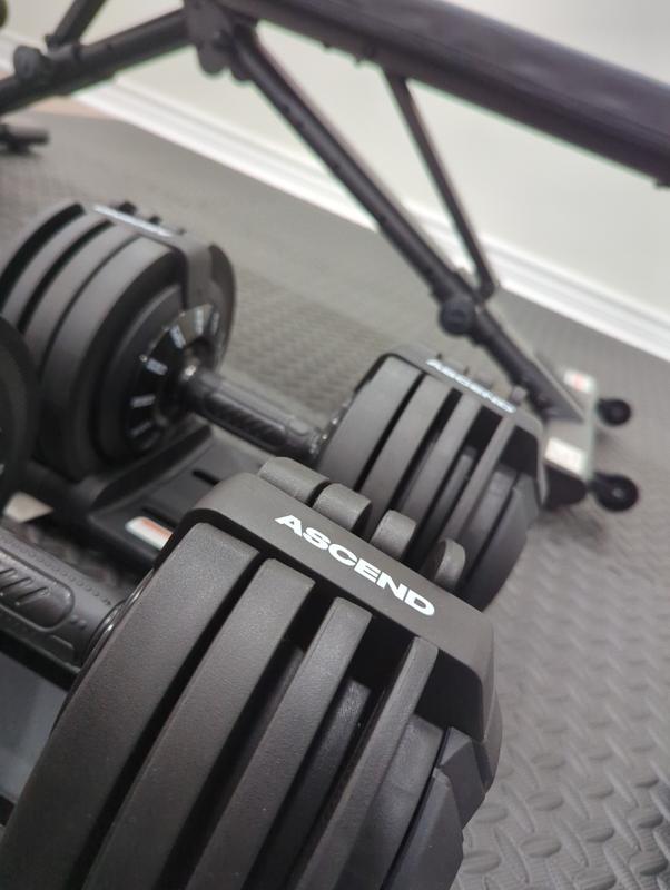 Boxes - Ascend 3 in 1 Adjustable Dumbbell – Montreal Weights