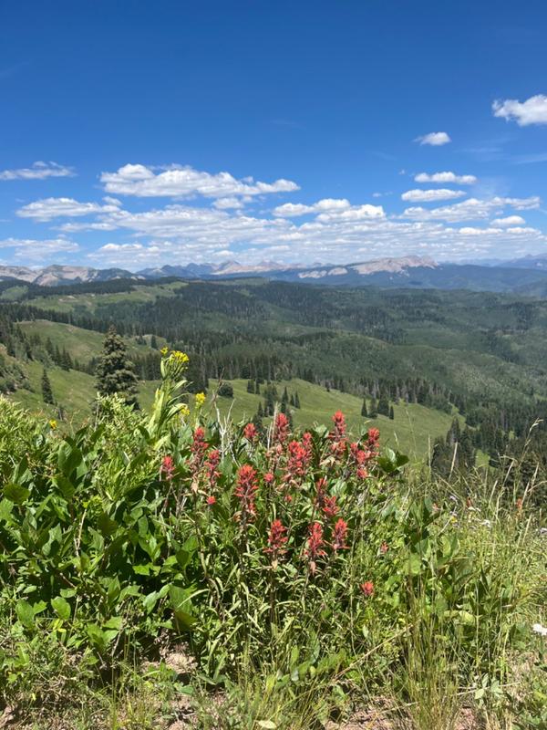 San Juan National Forest SJNF Trail Map, Cortez, Dolores, Rico, Mancos ...