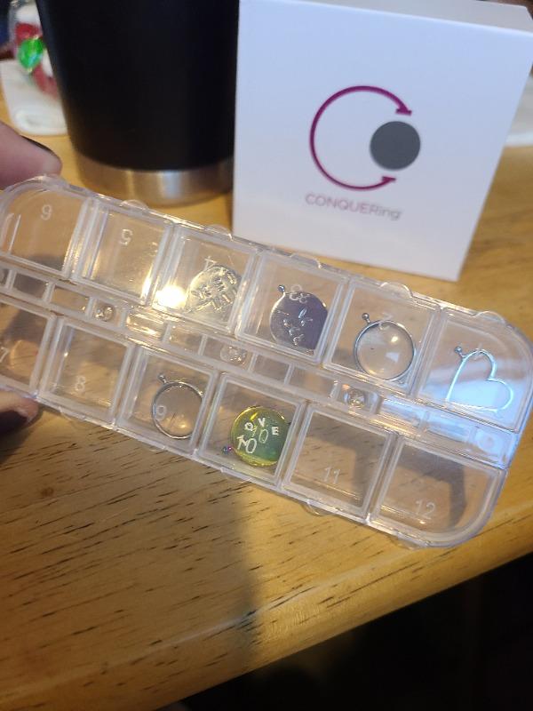 Spinner Organizer 12-compartment Case – CONQUERing