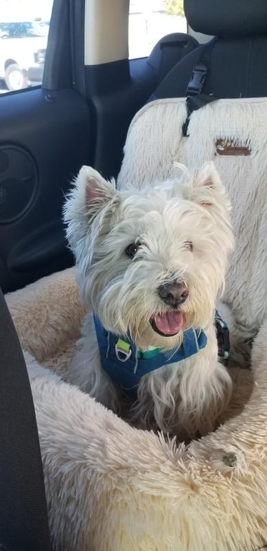 Fluffy Car Bed | New – Pelsbarn.org