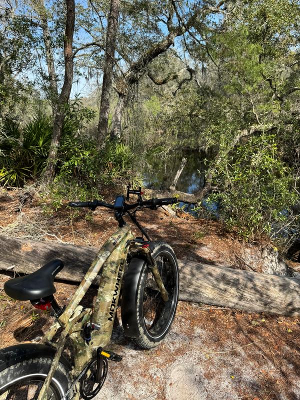 Obsidian| Full Suspension Electric Mountain Bike| Mokwheel