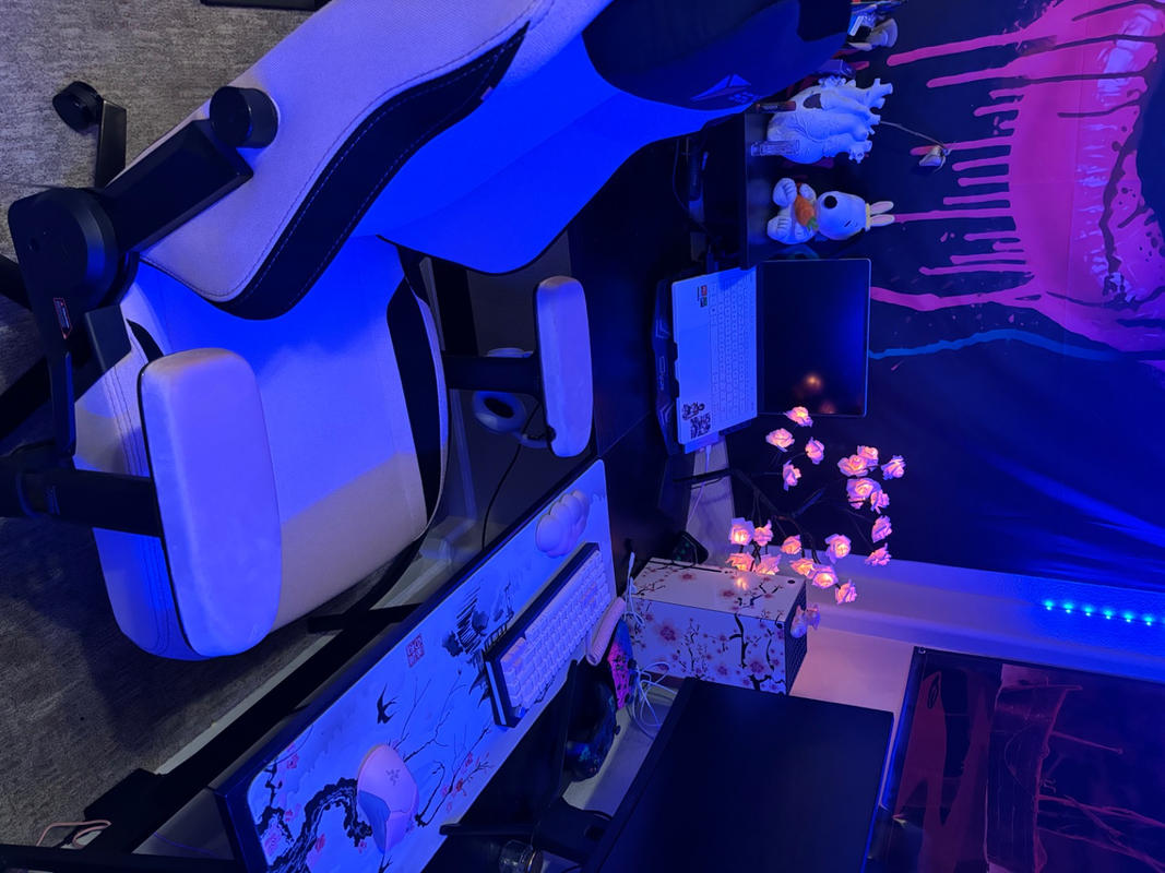 Gaming Chairs | Secretlab TITAN Evo | Secretlab UK