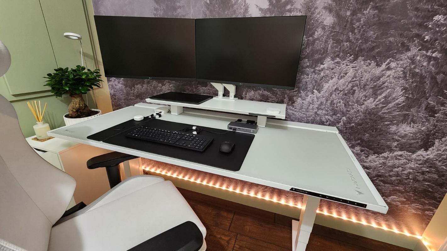 Secretlab MAGNUS Metal Desk | Secretlab CA