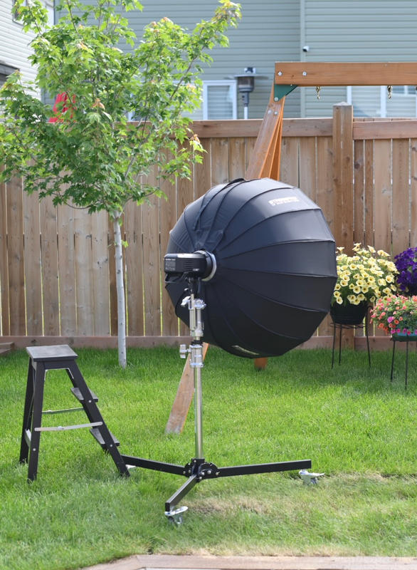 4' Low Roller Rolling Light Stand - Strobepro Studio Lighting