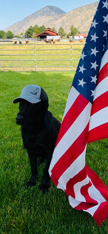 Lab Cap – Alpha Dog Nutrition