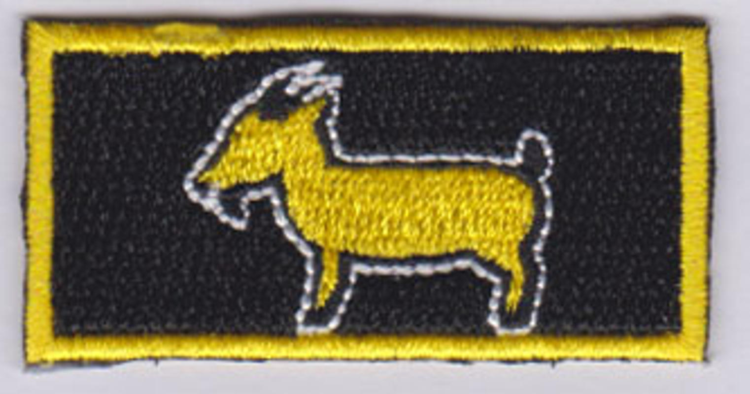 USAF Fighter Weapons School Graduate Patch | United States Air Force ...