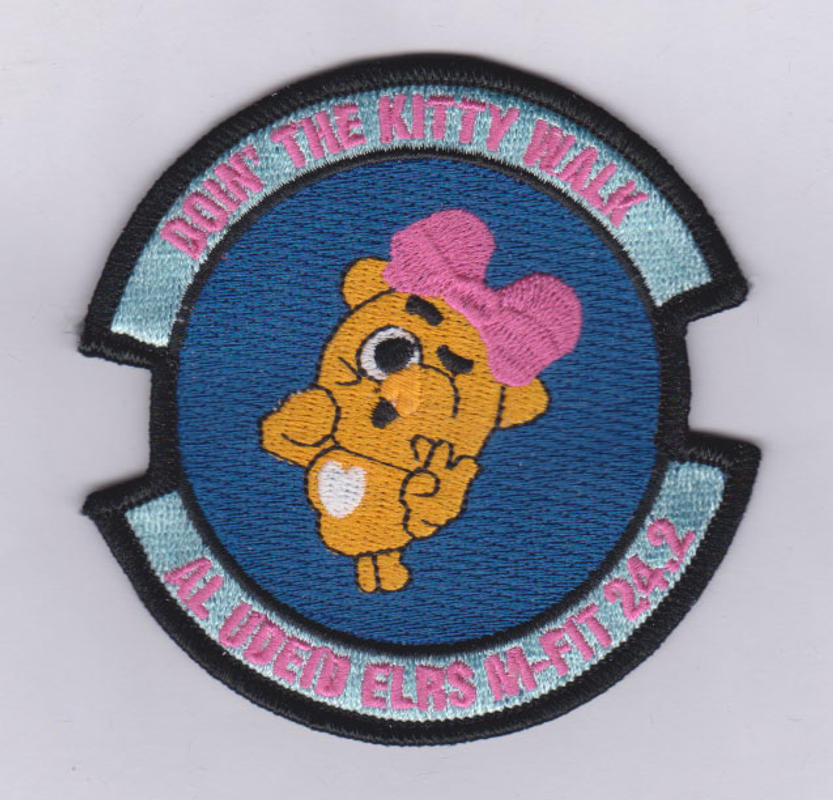 MIT Lincoln Laboratory TCAS Program ACAS Xr Patch | Massachusetts ...