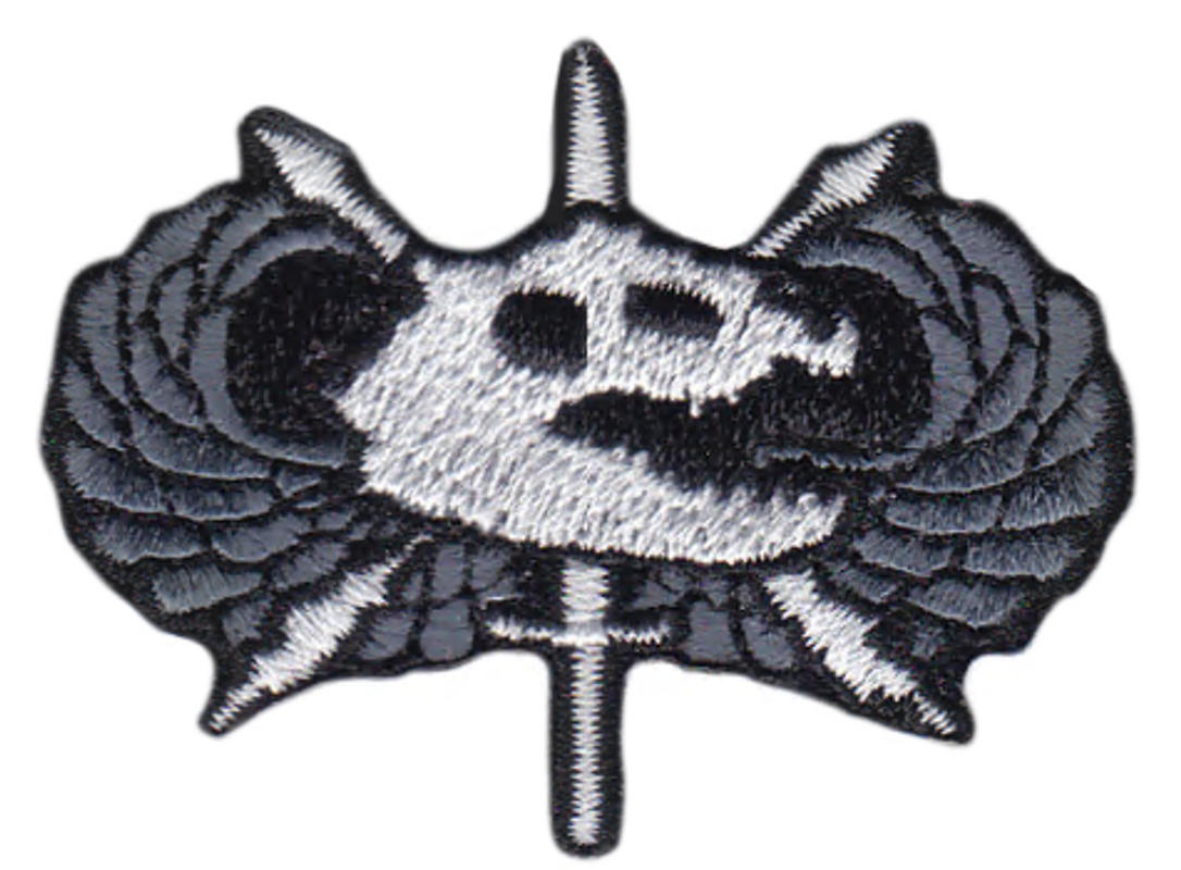 123 IS Patch | 123rd Intelligence Squadron Patches