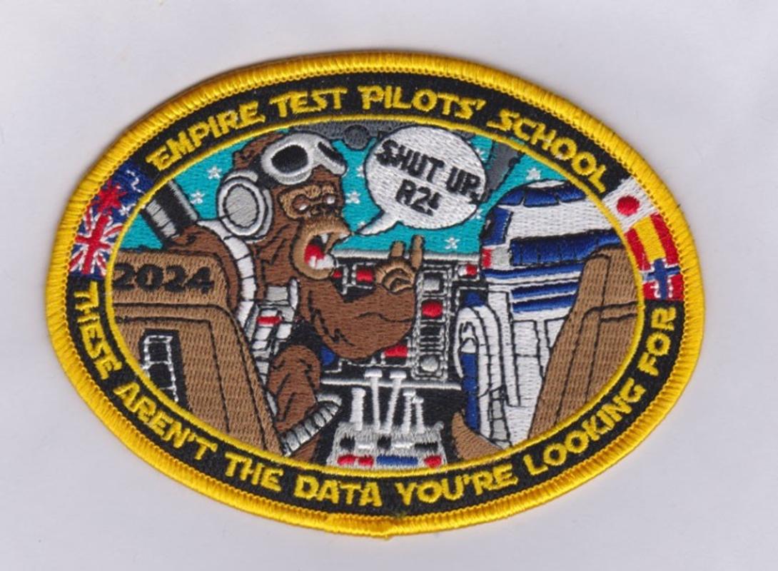 374 SFS OCP Patch | 374th Security Forces Squadron Patches