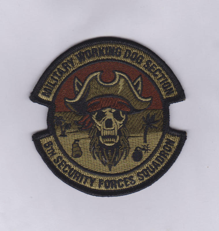 USAF Fighter Weapons School Graduate Patch | United States Air Force ...
