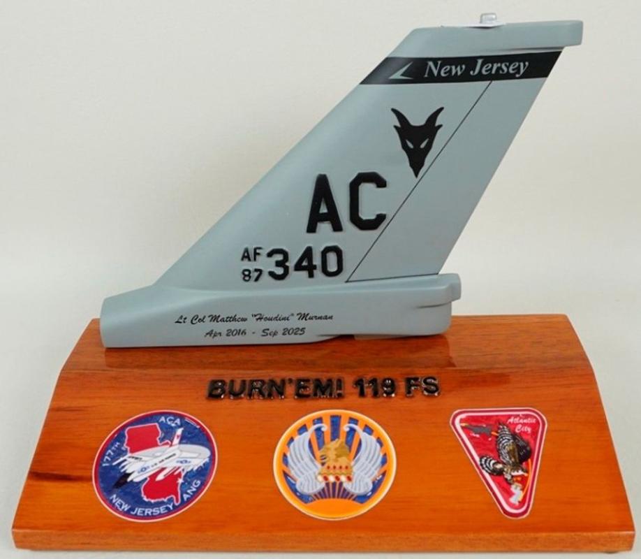 86 AW C-130 Airplane Tail Flash | Custom C-130 Hercules Tail Flash