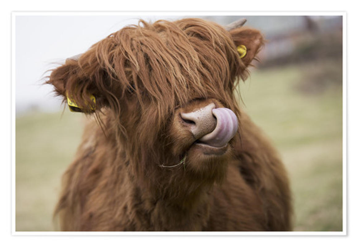 Advanced Anti-Aging Cream for Men | Particle Skincare