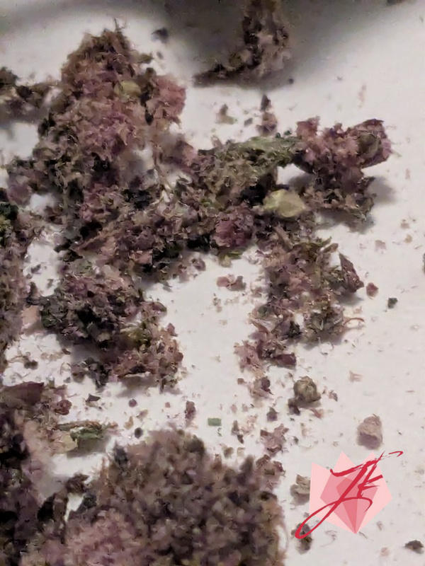 Rainbow Tarts THCA Flower