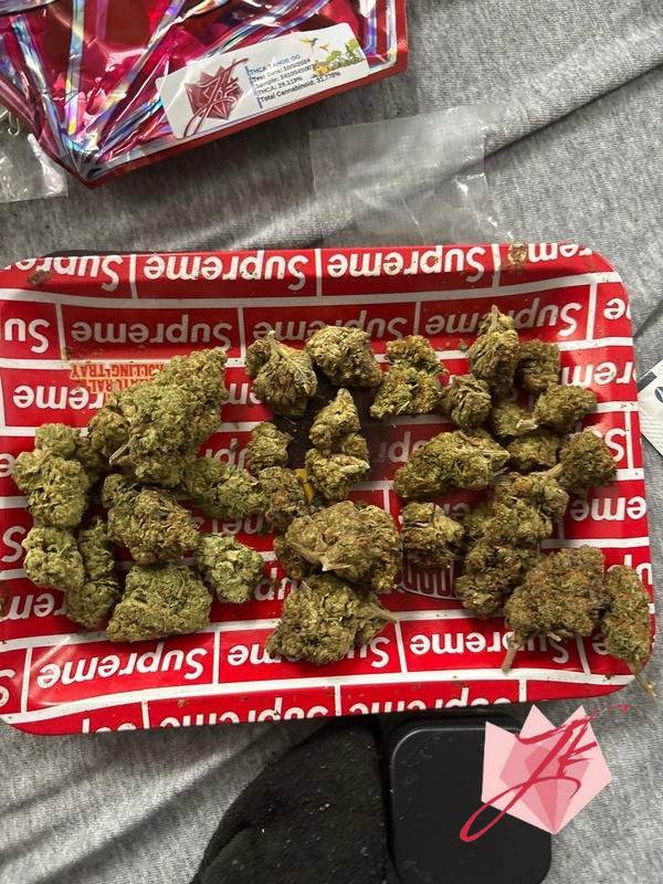 2025 Kick Off - THCA Strains - 7 Gram Bags - JK Distro