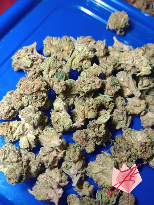 2025 Kick Off - THCA Strains - 7 Gram Bags - JK Distro