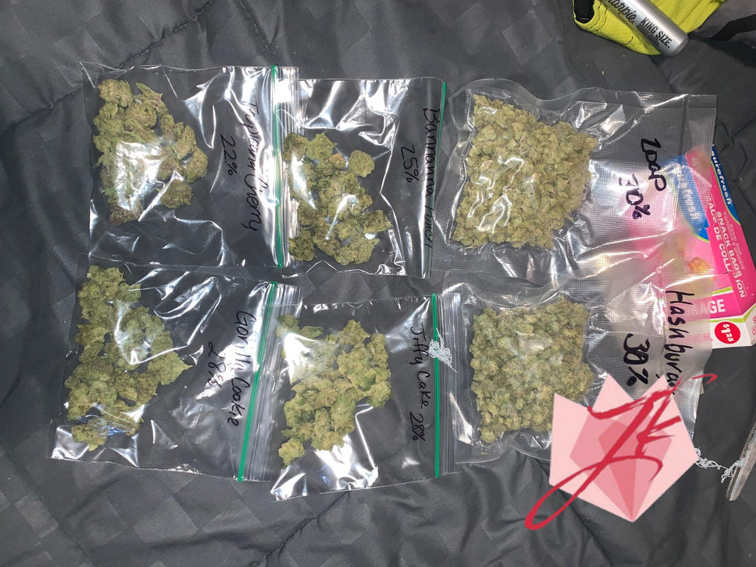 2025 Kick Off - THCA Strains - 7 Gram Bags - JK Distro