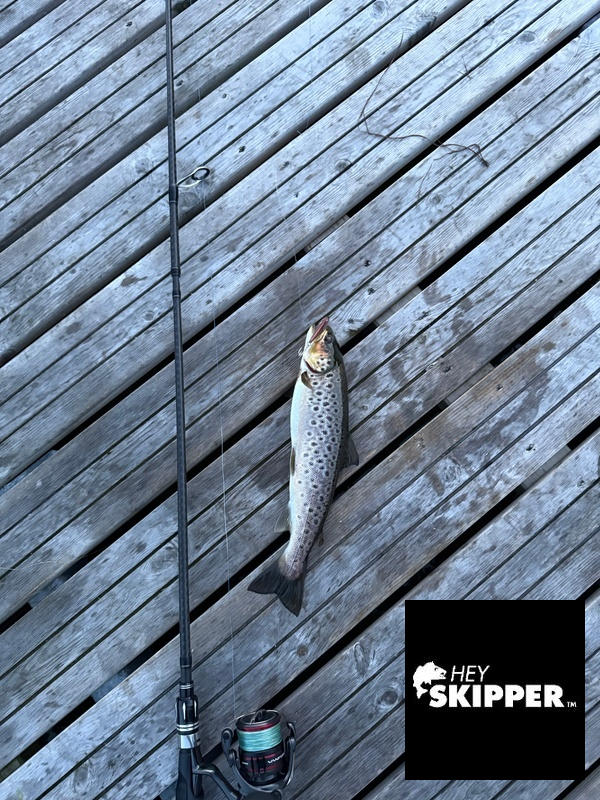 9'2" Hybrid Travel Rod - Hey Skipper