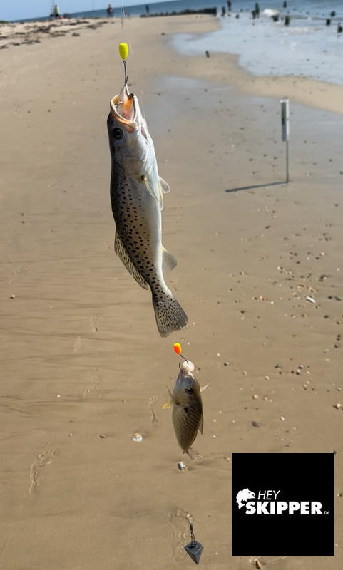 Catch All Fishing Rig (w/ Floats) — Hi-Lo / Bottom – Hey Skipper