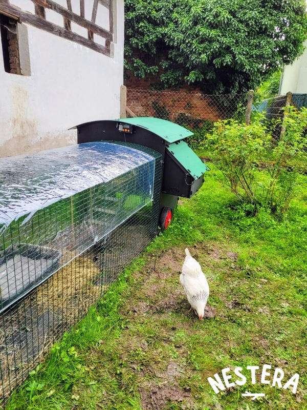 Nestera Automatic Door Opener for chicken coop