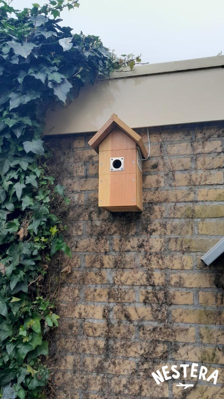 WiFi Battery Bird Box Camera with Solar Panel