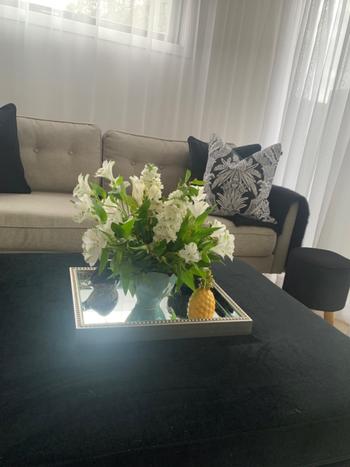 Zeta Mirror Tray — SHINE MIRRORS AUSTRALIA