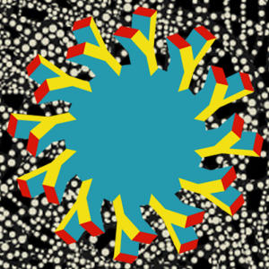 Honey Comb Black Boyleg One Piece Swimsuit – Capriosca Swimwear Australia