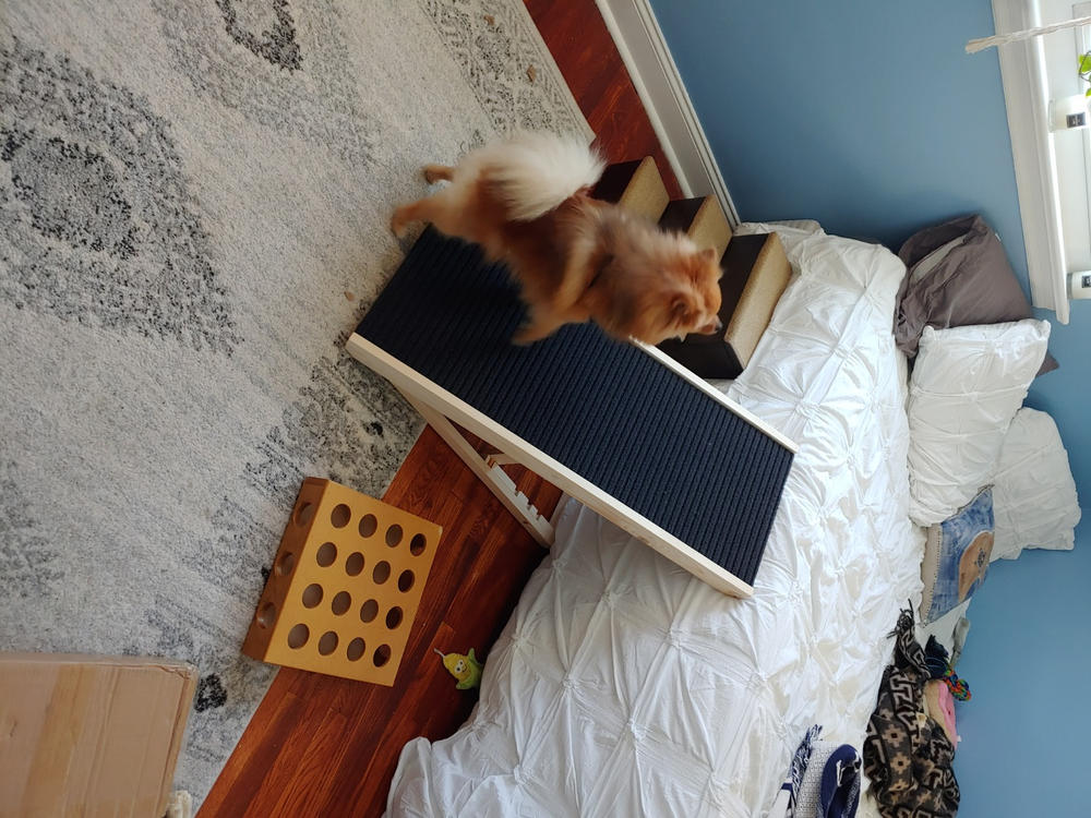 The PawRamp – Alpha Paw LLC