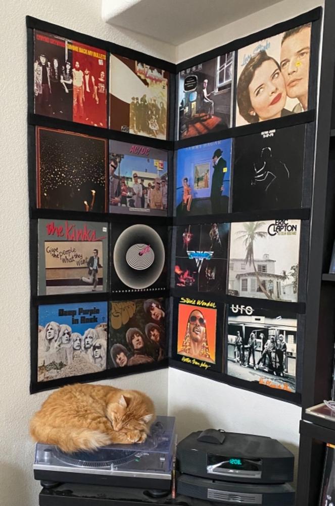 RECORD ROOTS - ACCESSIBLE RECORD FRAMES