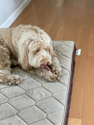 10-12 Inch Quick Stick | Best Bully Sticks