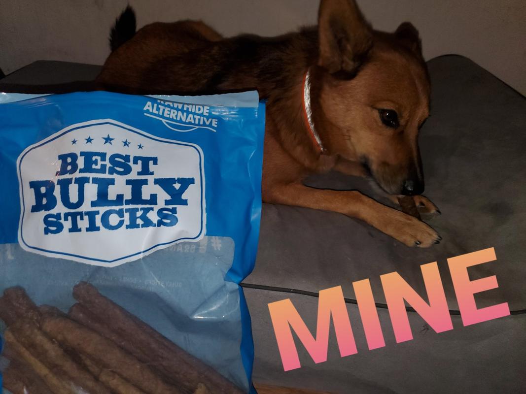 10-12 Inch Quick Stick | Best Bully Sticks