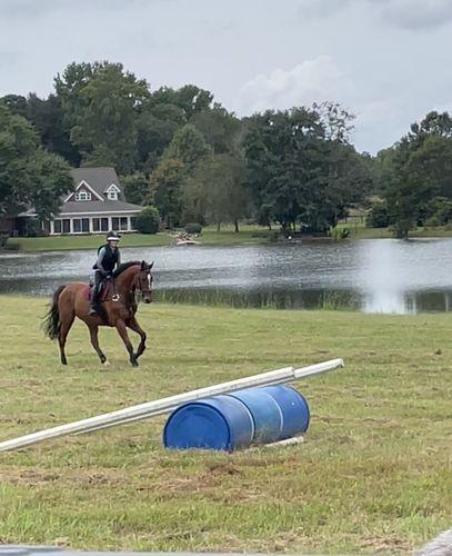 Kavallerie Front Riser Gel Pad | Prevent Saddle Bridging and Sore Back